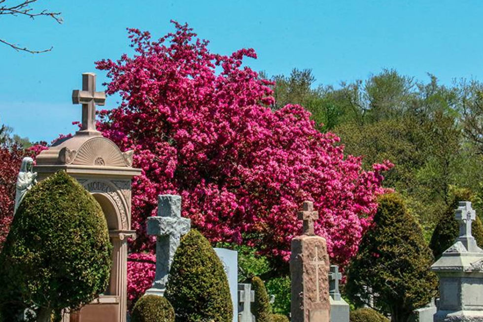 Guide to Catholic Cemeteries & Funeral Services | Catholic Cemeteries ...